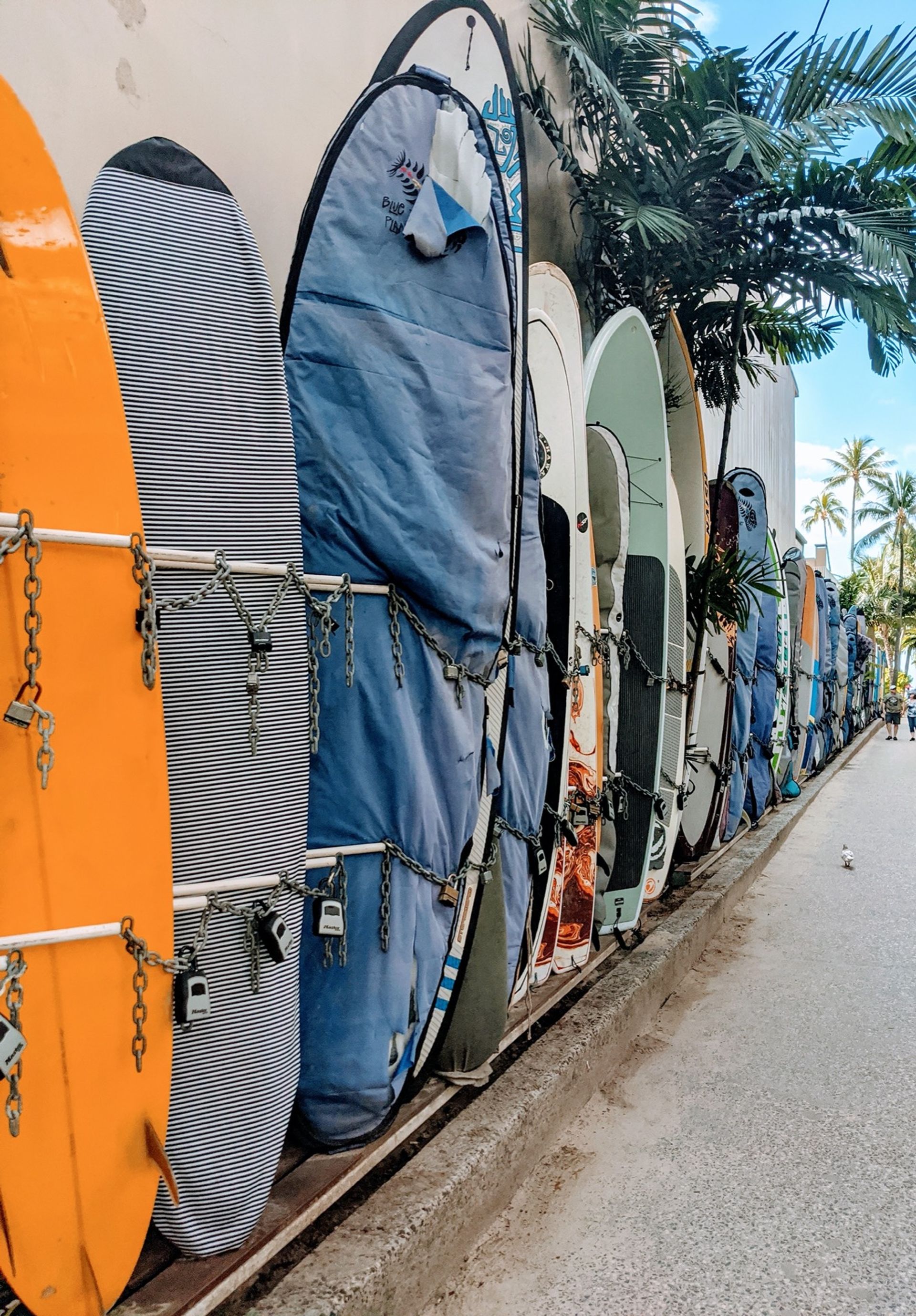 New on the web platform